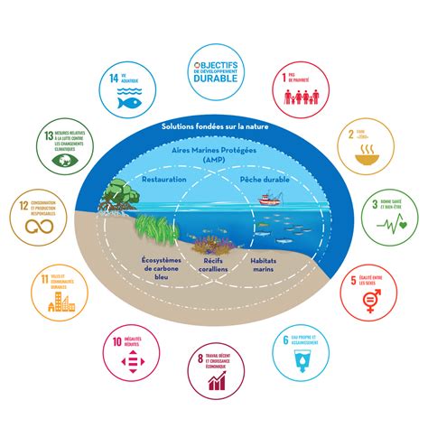 Quel océan pour demain Les écosystèmes marins face au changement