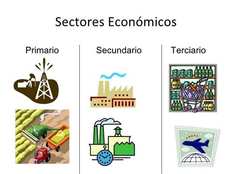 Sector Primario Secundario Y Terciario Ejemplos Sectores De