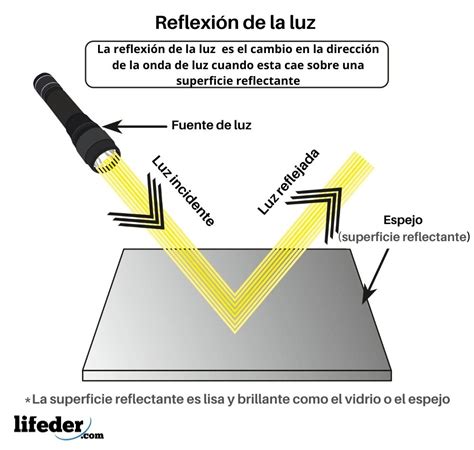 Reflexi N De La Luz Concepto Explicaci N Tipos Y Ejemplos