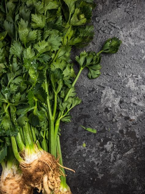 Harvesting Celery When And How To Harvest Celery