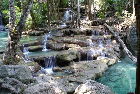 Los siete bosques más bellos del mundo vamos