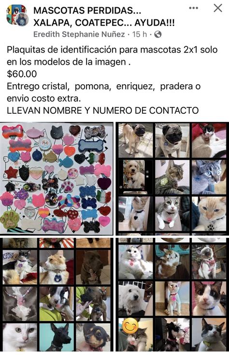 Vialidad Xalapa Vx On Twitter Rt Angiemaycolunga Placasid