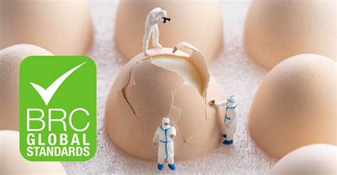 Brcgs Food Safety Standard Issue Are You Audit Ready Every Day