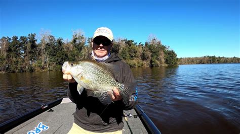 Lake Talquin Livescope Muddy Water Crappie Day Youtube