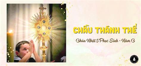 Bộ Sưu Tập Hình Ảnh Bí Tích Thánh Thể Cực Đỉnh Full 4K Với Hơn 999
