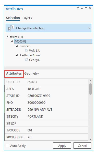 Edit Feature Attributesarcgis Pro Documentation