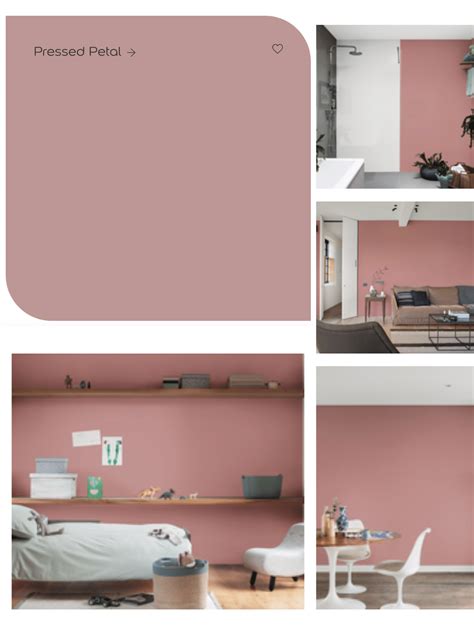 What Colours Go With Dulux Pressed Petal Sleek Chic Interiors