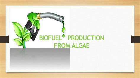 Kingdom Plantae Division Algae Or Thallophyta Botany Ppt Ppt
