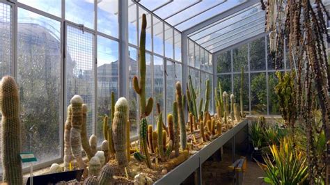 5 Bonnes Raisons De Visiter Le Jardin Des Plantes De Nantes