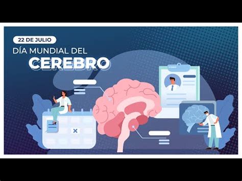 22 de julio Día Mundial Del Cerebro Instituto de Salud para el