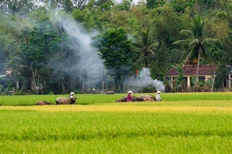 Hình ảnh làng quê Việt Nam Tổng hợp hình ảnh làng quê Việt Nam đẹp nhất