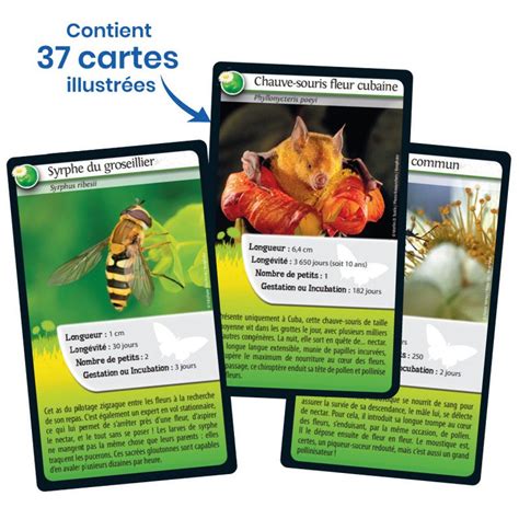 Défis Nature Abeilles et autres pollinisateurs Boutique BCD JEUX