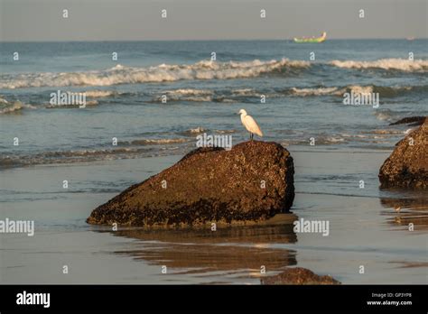 Varkala Beach Kerala India Stock Photo Alamy