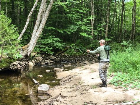 How To Find And Catch Brook Trout On The Water