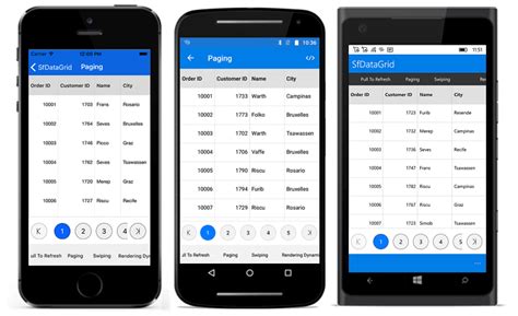Paging In Xamarin DataGrid Control Syncfusion