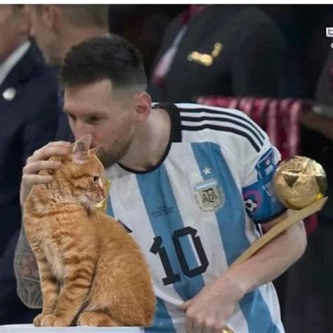 Pin en Here Kitty Kitty Messi gracioso Memes de fútbol Humor de fútbol