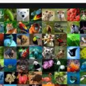 Biodiversidad Trivias Juego educativo Biología Mobbyt