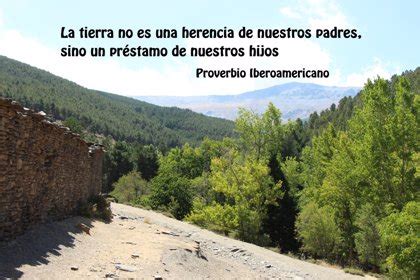 Descubrir 41 Imagen Frases Celebres Para El Dia Del Medio Ambiente