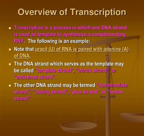 PPT Gene Expression Transcription PowerPoint Presentation Free