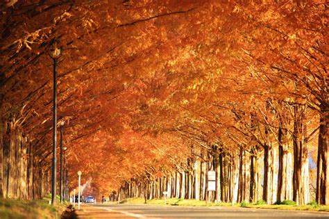 なにものにも変えがたい美しさを心ゆくまで堪能デートにおすすめな関西エリアの紅葉名所3選 DiNOMEN LIFESTYLE 男性化粧品