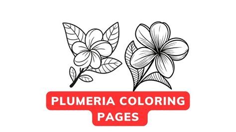 Free Plumeria Coloring Pages Printable Pdf Flower Coloring Page