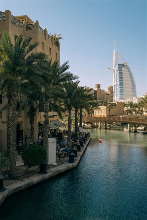 Dubai Safari 𝐆𝐞𝐦𝐟𝐢𝐧𝐝𝐞𝐫𝐬 𝐒𝐚𝐟𝐚𝐫𝐢𝐬