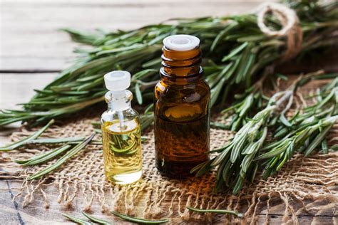 Aceite de romero Para la salud del cabello Cómo usar