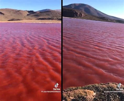 Il fiume Nilo si tinge di rosso ma è una fake news
