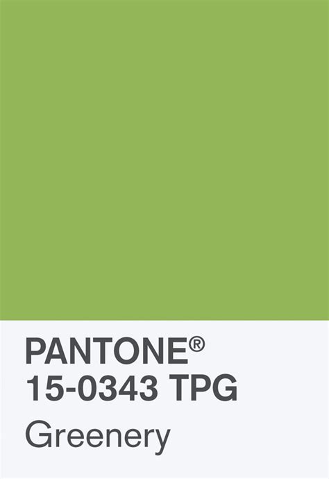 Greenery Pantone S Colour Of The Year 2017 Omelo Mirrors Omelo