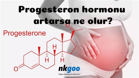 Progesteron Hormonu Artarsa Ne Olur Nkgoo