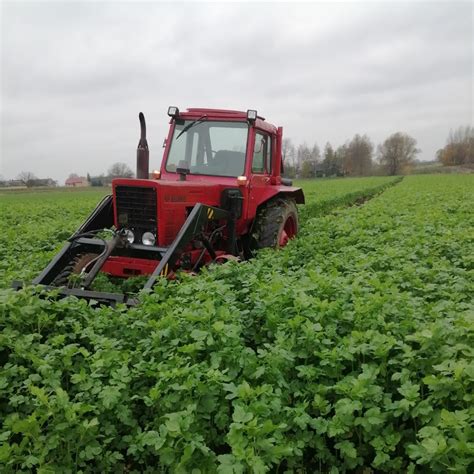 AGRO SZUMA YouTube
