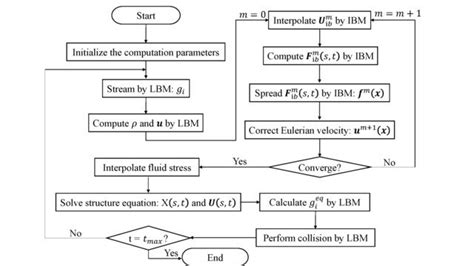 the fsi algorithm of the immersed boundary lattice boltzmann method download scientific diagram