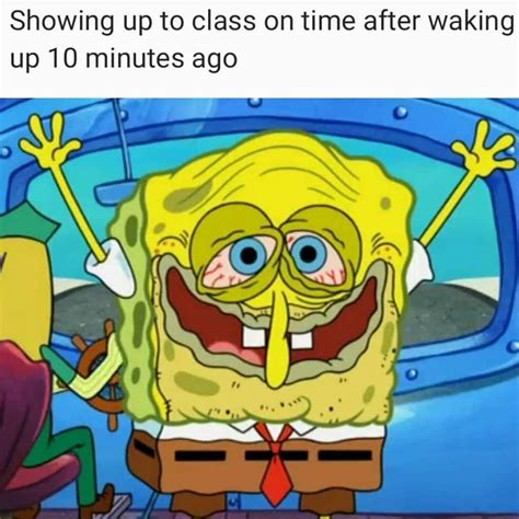 2 733 Likes 24 Comments Spongebob Memes Spongebob Square Memez On