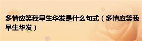 多情应笑我早生华发是什么句式多情应笑我早生华发 车百科