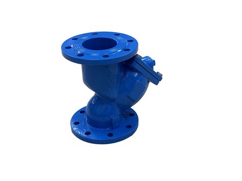 Pn16 Ductile Iron Carbon Steel ANSI Flange End Y Type Strainer Filter