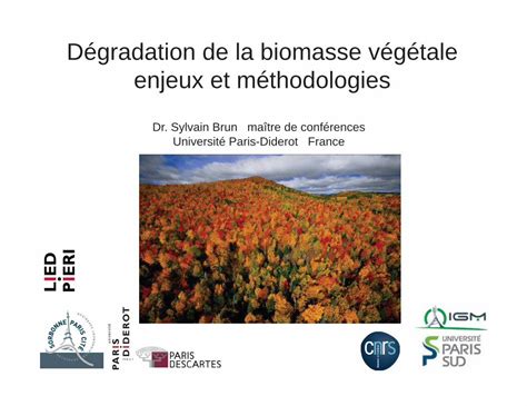 Pdf D Gradation De La Biomasse V G Tale Enjeux Et M Thodologies