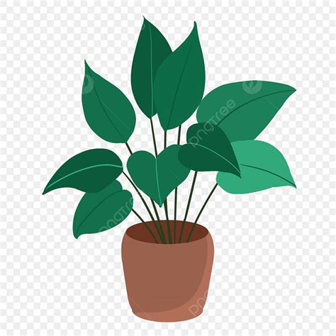 Plant Pots PNG Transparent Potted Plants Flower Pot Flowers Green