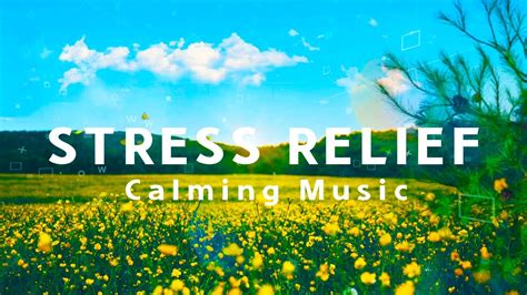 Relaxing Zen Music For Stress Relief Calming Music Sleep Music