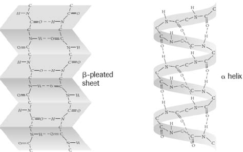 Figure From A Hybrid Method For Prediction Of Protein Secondary