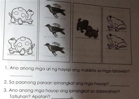 So1 Ano Anong Mga Uri Ng Hayop Ang Makikita Sa Mga Larawan 2 Sa