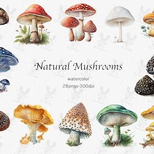 Mushroom Watercolor Clipart Watercolor Forest Art Fantasy Etsy