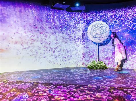 五感で楽しむ花の体験型アート展台湾台北で初開催 NAKED INCが投稿したフォトブック Lemon8