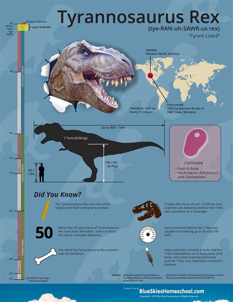 Tyrannosaurus Rex Dinosaur Fact Sheet Infographic Tyrannosaurus Rex