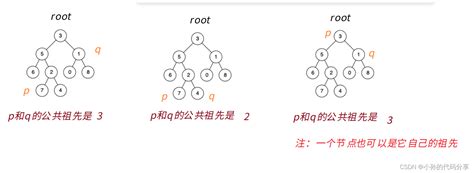 二叉树相关oj题目复习总结 编程oj二叉树输入 csdn博客