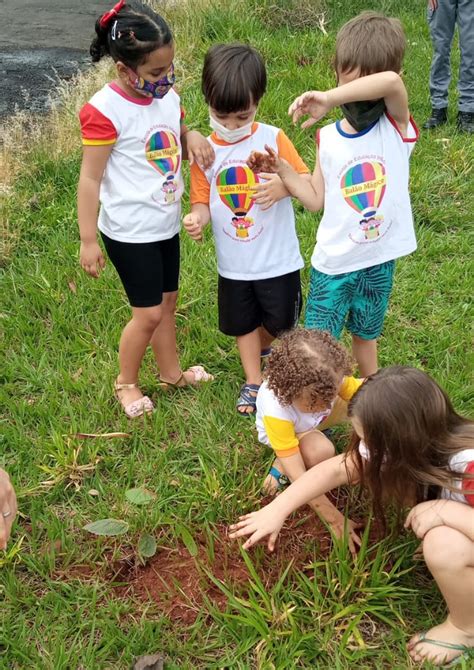 Dia da Árvore é celebrado plantio de mudas e ações de