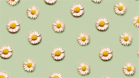 Top 90 Sage Green Wallpaper For Laptop Latest In Coedo Vn