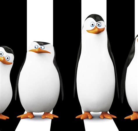 580x550 Penguins Of Madagascar Hd Wallpapers 580x550 Resolution Wallpaper Hd Movies 4k