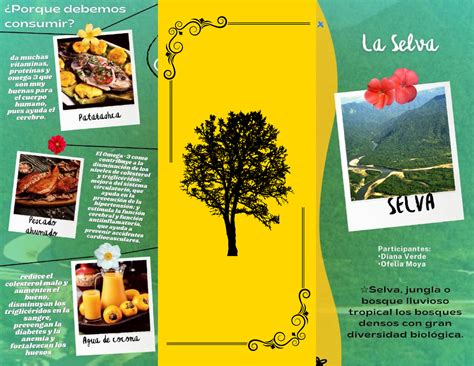 Triptico Selva Ciencias Sociales Studocu