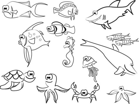 Actualizar 75 Dibujo Biologia Marina Mejor Camera Edu Vn