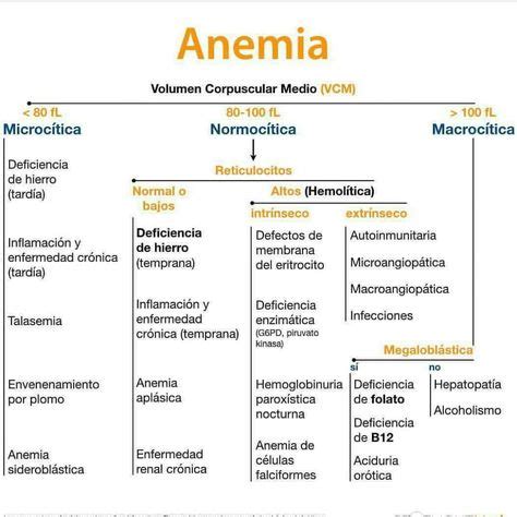 Tabla De Anemia